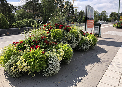 Blomsterplantering kring vägar | Nacka kommun