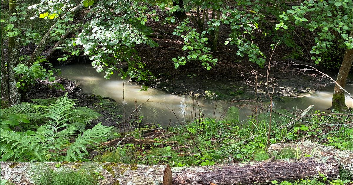 Grumligt vatten i Glasbrukssjön efter utsläpp av stenmjöl | Nacka kommun